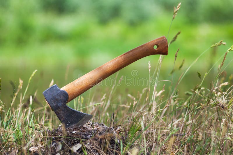 The Axe in the Tree. Tourist Camp. Chopping Wood in the Forest in ...