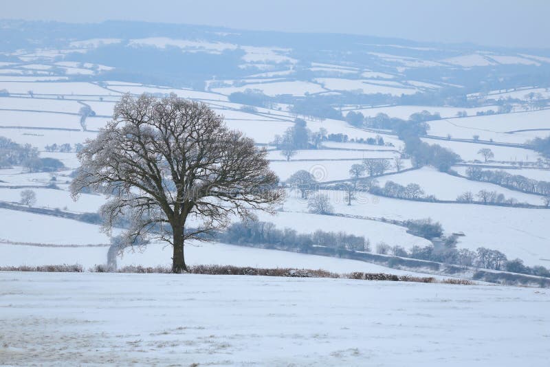 Axe Valley in East Devon stock photo. Image of natural - 111369730