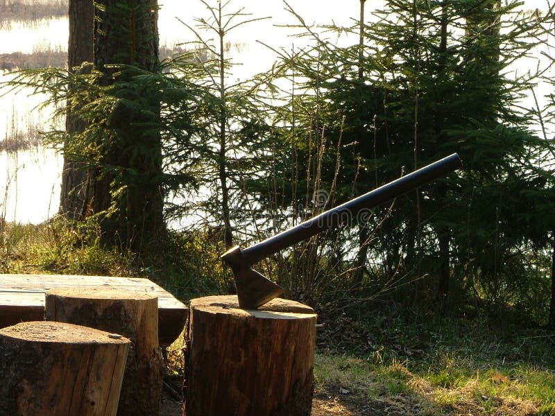 Axe in tree stump stock photo. Image of energy, rural - 6491190