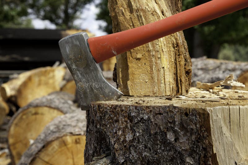 Axe in tree stump stock photo. Image of tool, stump, still - 29668618