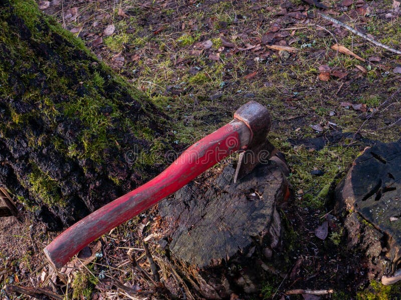 An Axe Wedged into a Tree Stump. Stock Photo - Image of natural, nature ...