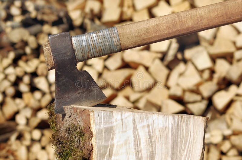 Axe in wood stock photo. Image of axes, lumberjack, loggers - 23504506