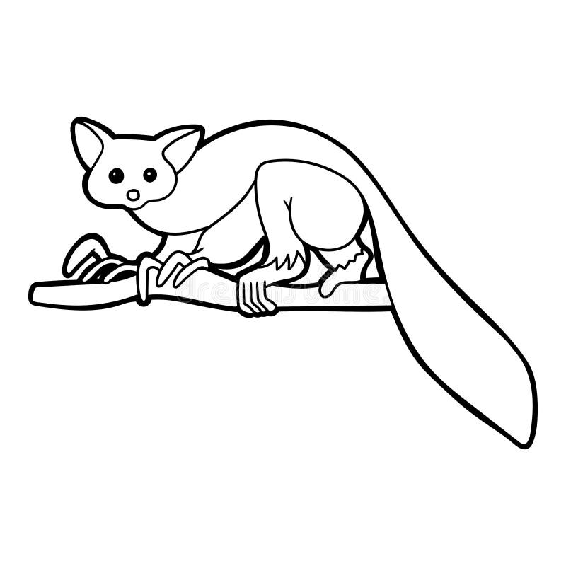 Aye aye coloring page stock vector. Illustration of character - 255996552