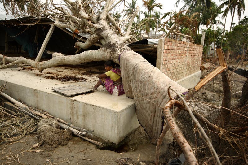 Cyclone Tree Uprooted Ayla Sunderbans West Bengal India Indian ...
