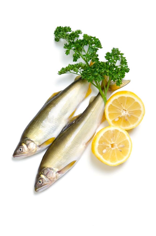 Ayu stock image. Image of organic, sweet, aquatic, healthy - 24975945