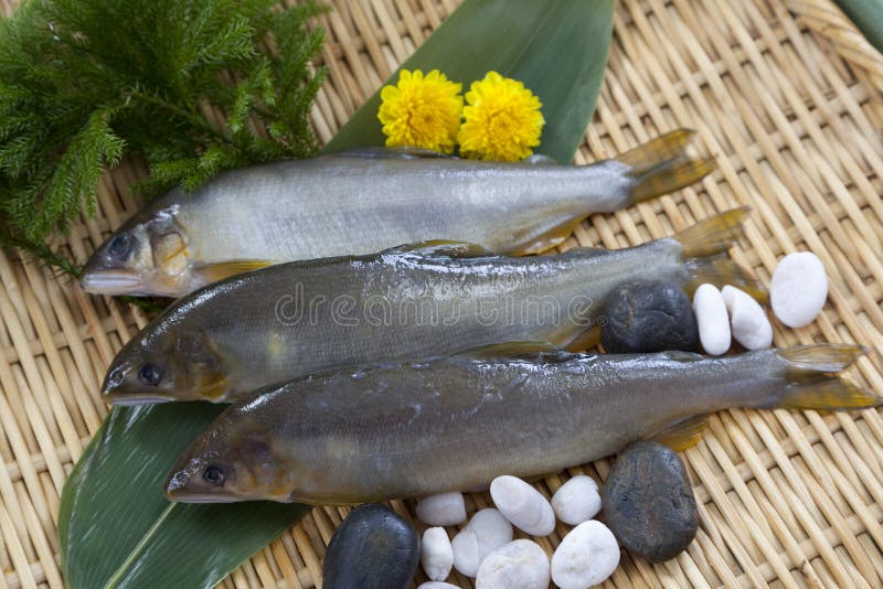 Ayu fish stock photo. Image of food, shishamo, fish, bitterling - 79933162