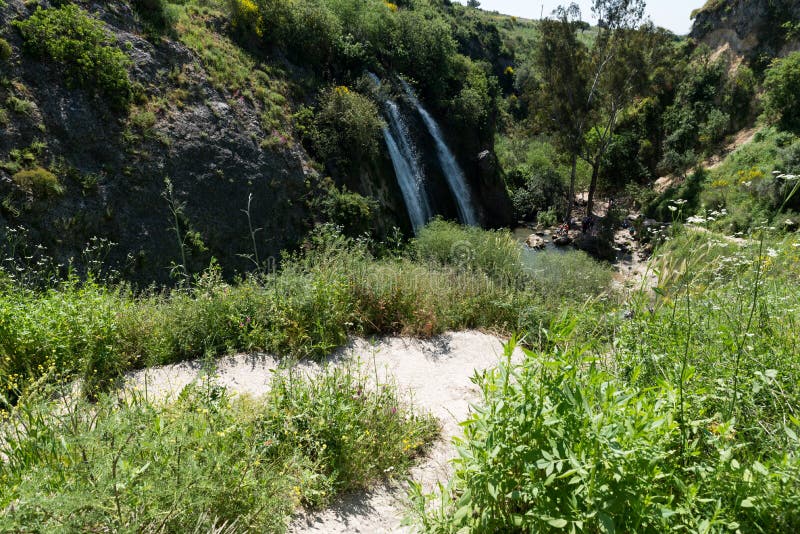 Ayun River Nature Reserve stock photo. Image of travel - 177081166