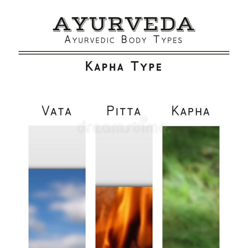 Ayurveda Body Types Pitta Stock Illustrations – 111 Ayurveda Body Types ...