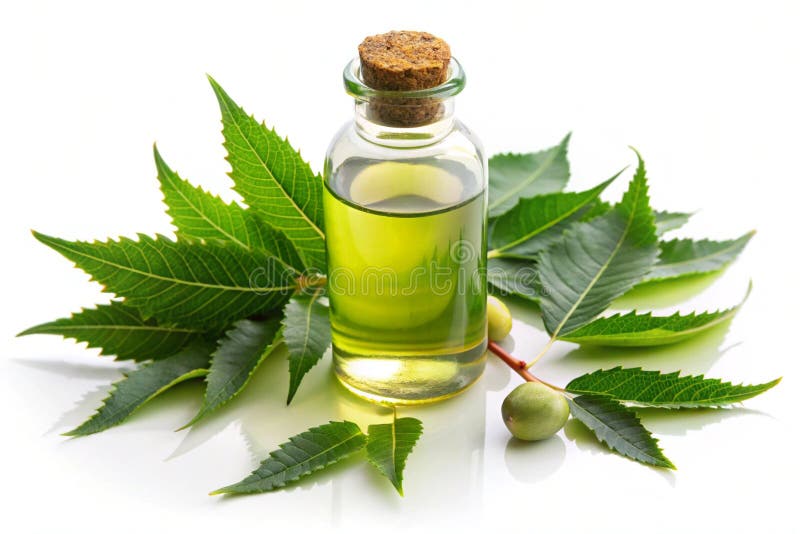Ayurvedic Neem Oil, Isolated on White Background Stock Illustration ...