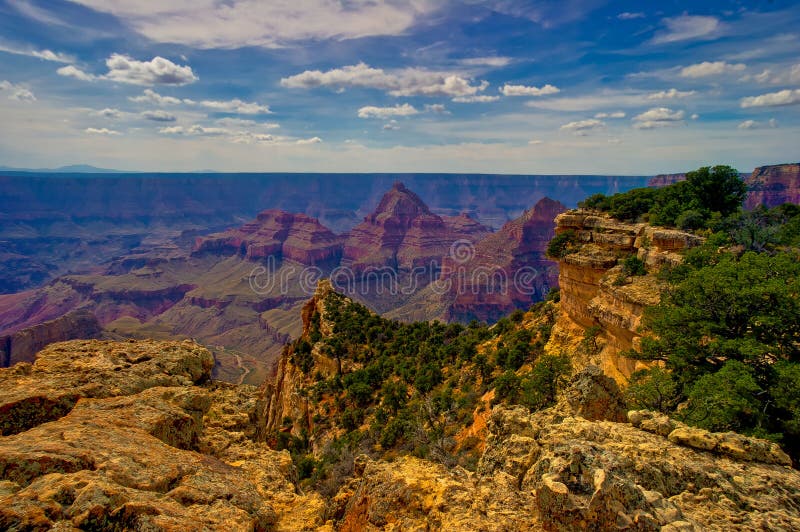 AZ-Grand Canyon NP- North Rim Stock Photo - Image of park, junipers ...