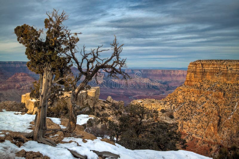 AZ Grand Canyon South Rim stock photo. Image of walking - 19969348