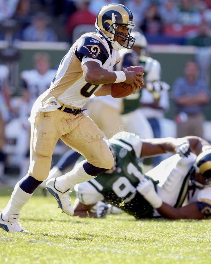 Rams Az Stock Photos - Free & Royalty-Free Stock Photos from Dreamstime