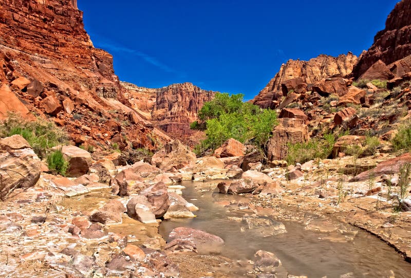 AZ- Paria Canyon Wilderness Stock Image - Image of trees, slot: 20011369