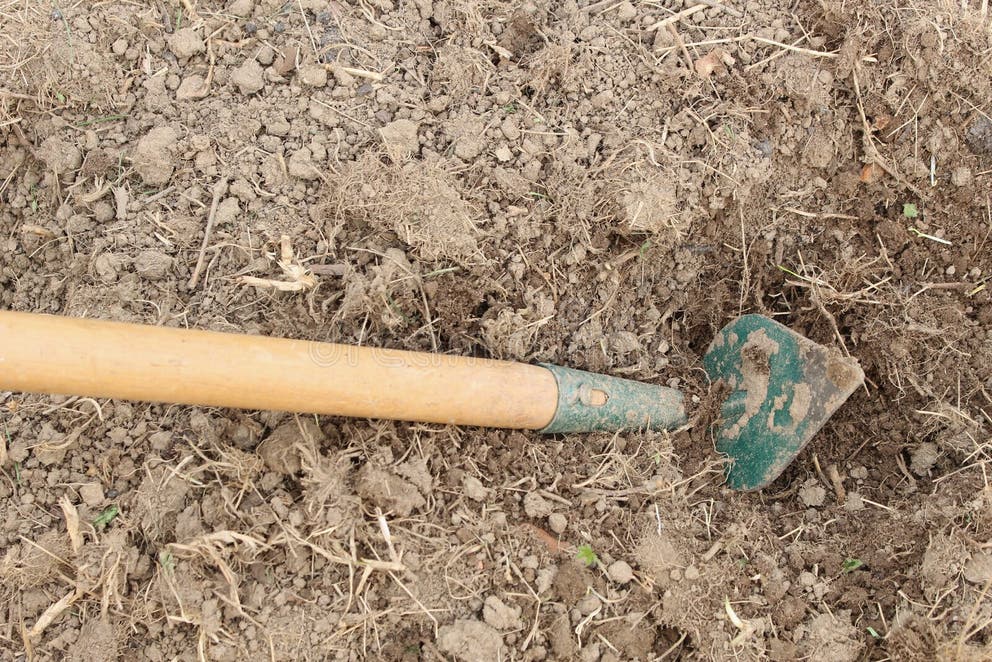 Azada imagen de archivo. Imagen de azada, pista, mercado - 70042253