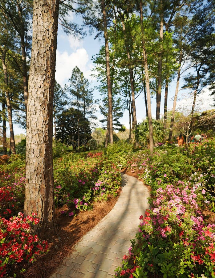 Azalea Gardens, in Raleigh North Carolina Stock Image - Image of ...