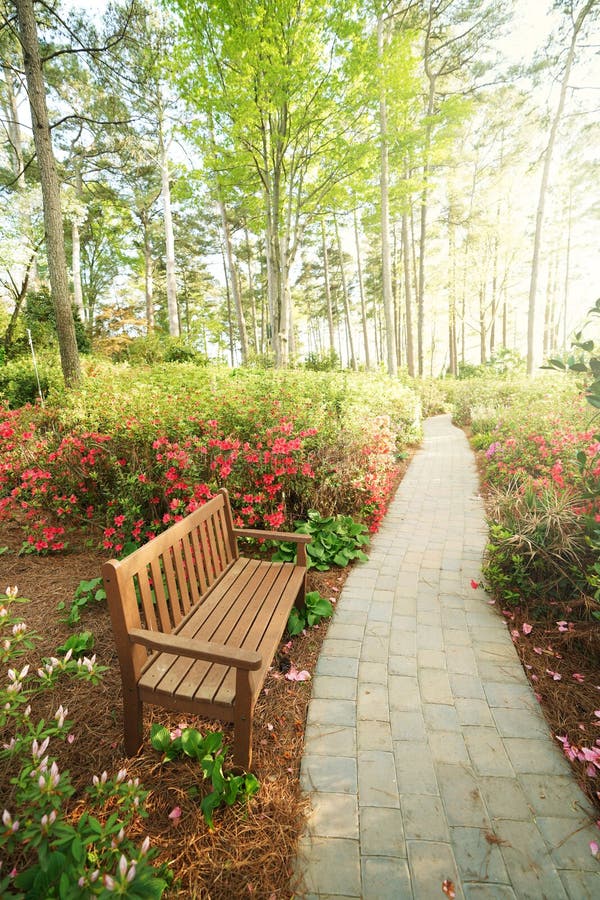 The Azalea Gardens in Spring, Raleigh North Carolina Stock Image ...