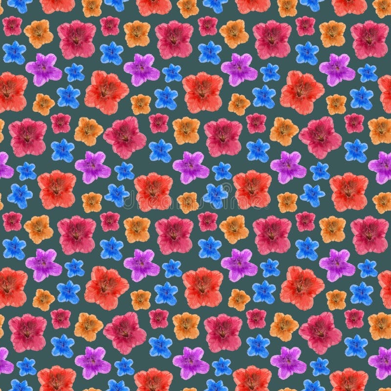 Azalea. Illustration, Texture of Flowers. Seamless Pattern for ...