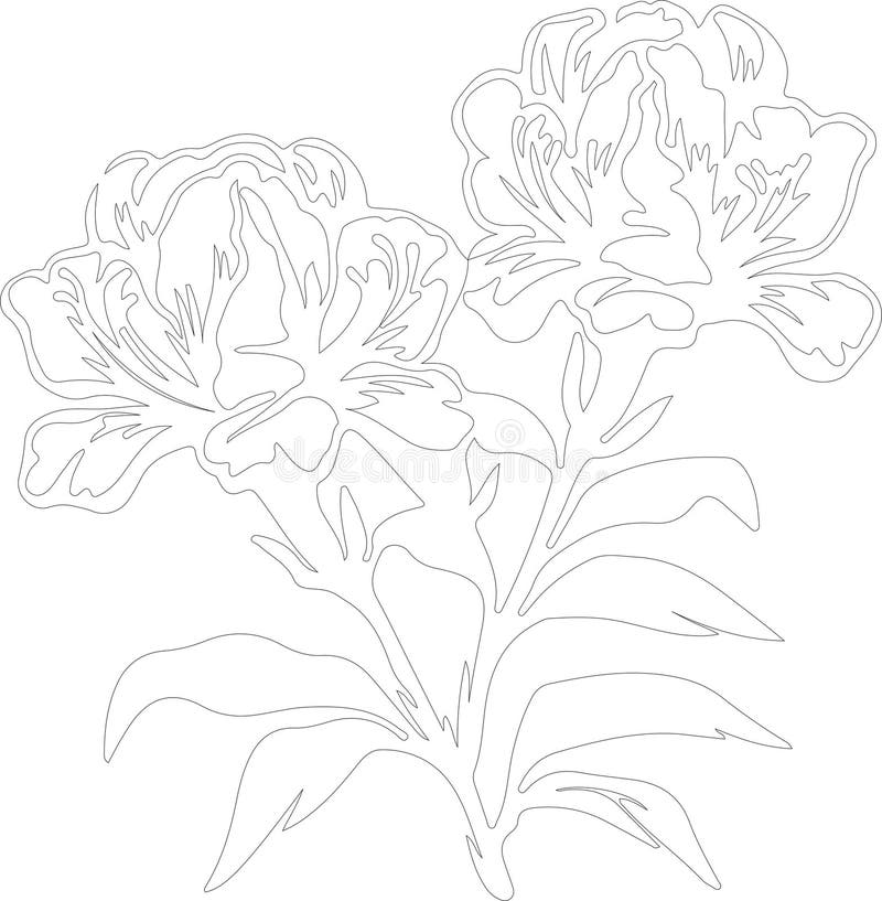 Azalea Outline Stock Illustrations – 504 Azalea Outline Stock ...