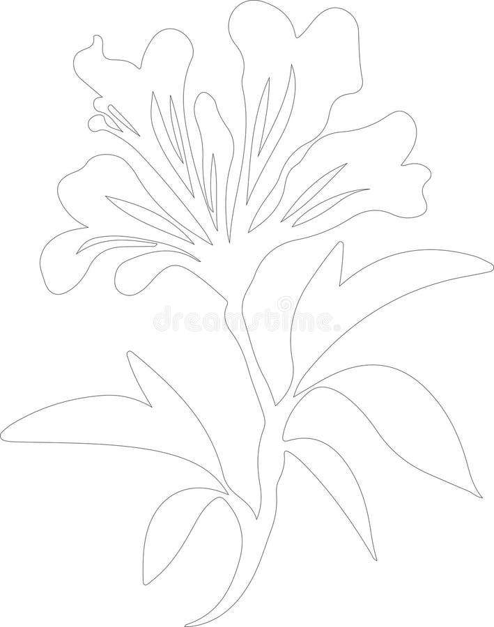 Azalea Outline Stock Illustrations – 524 Azalea Outline Stock ...