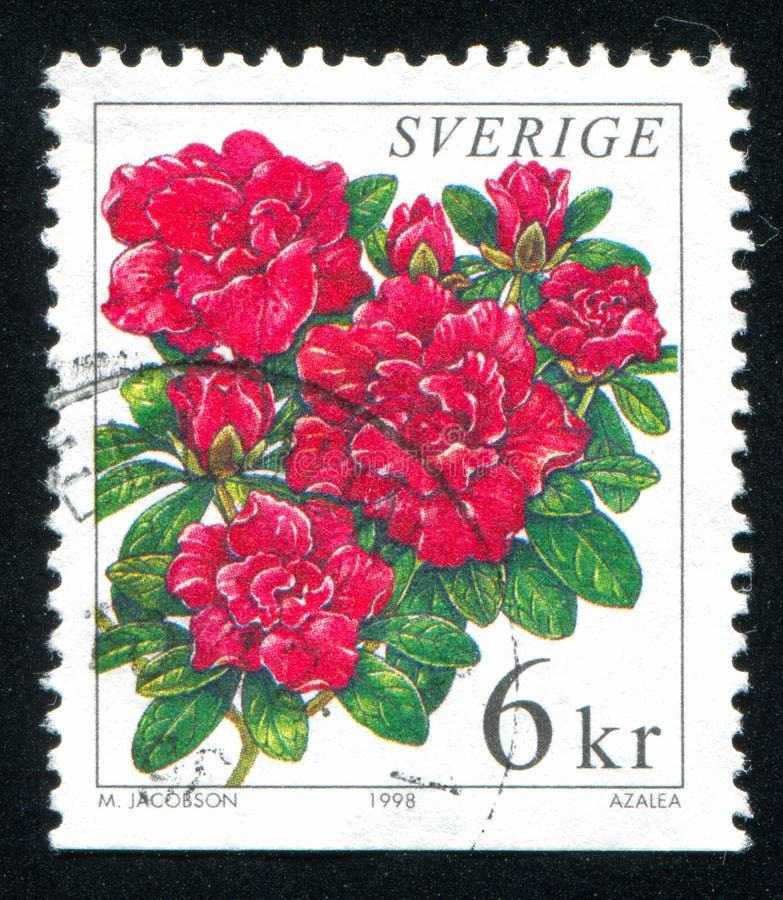 Azalea editorial stock image. Image of mail, letter - 363276884