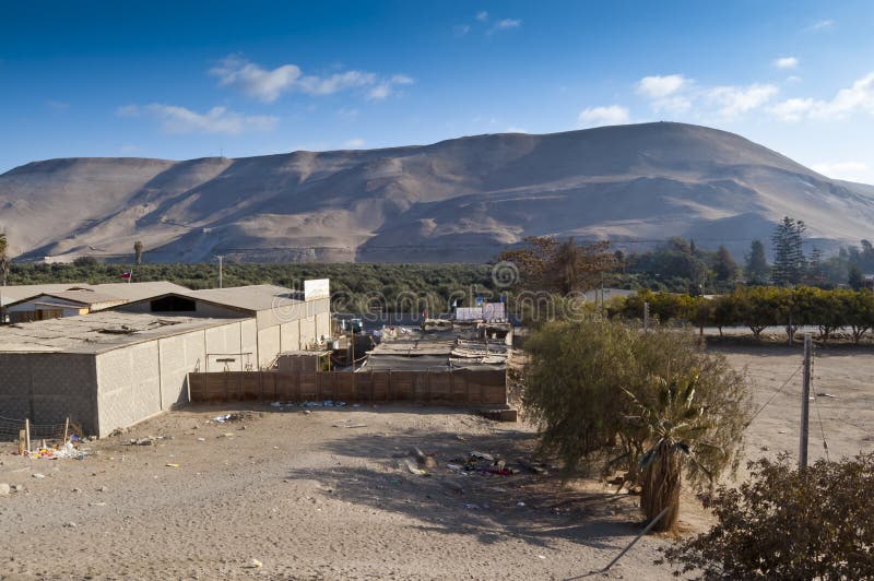 Azapa Valley Chile Stock Photos - Free & Royalty-Free Stock Photos from ...