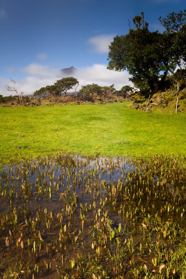 Well stock photo. Image of fresh, pico, ancient, survival - 5170374