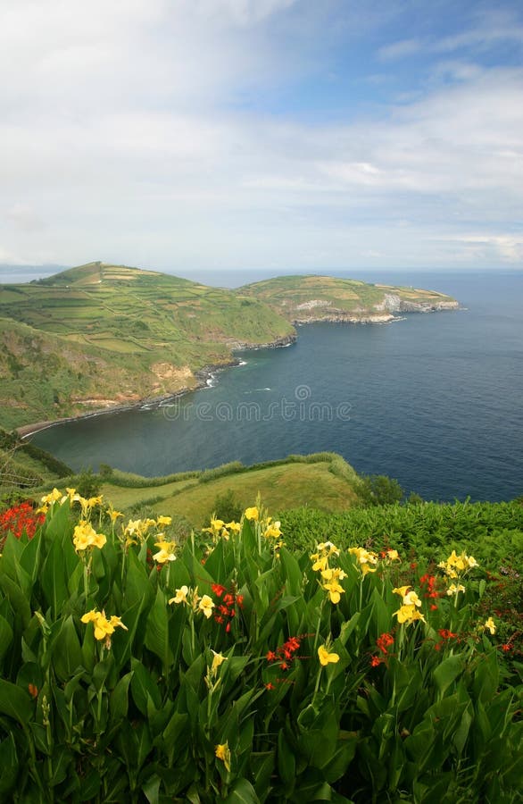 Azorean View stock image. Image of plants, beauty, fresh - 1549695