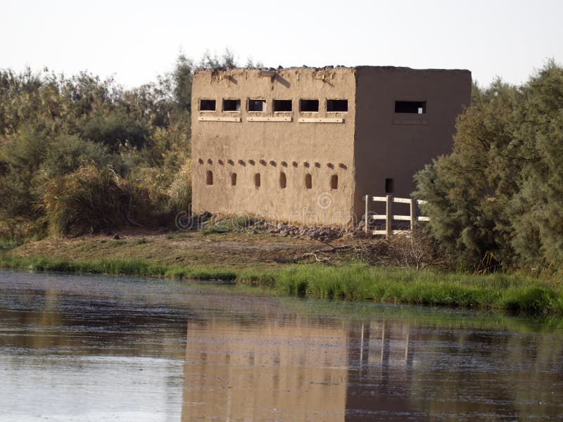 Azraq Wetland Reserve, Jordan Stock Photo - Image of reserve, water ...