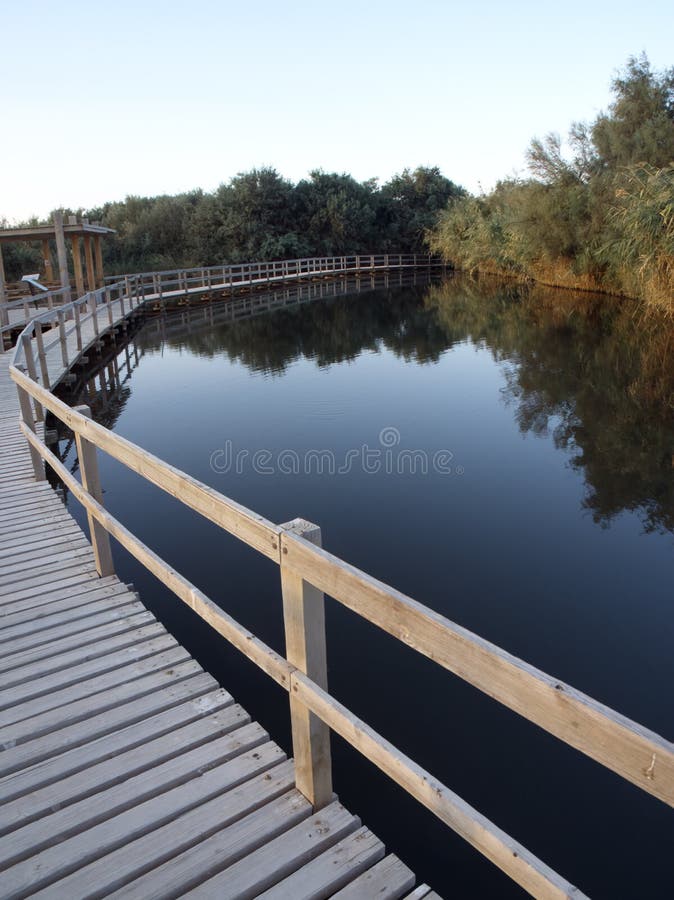 Azraq Wetland Reserve, Jordan Stock Image - Image of birds, wetland ...