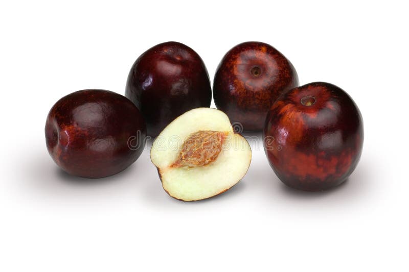 Ginjol O Azufaifa - Jujuba Del Ziziphus Imagen de archivo - Imagen de ...