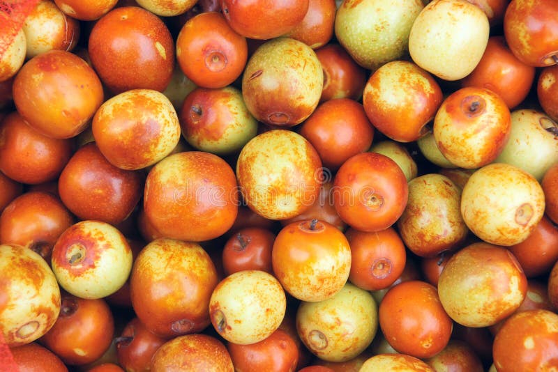 Azufaifa Fotos De Stock - Download 8,311 Fotos Libres de Derechos