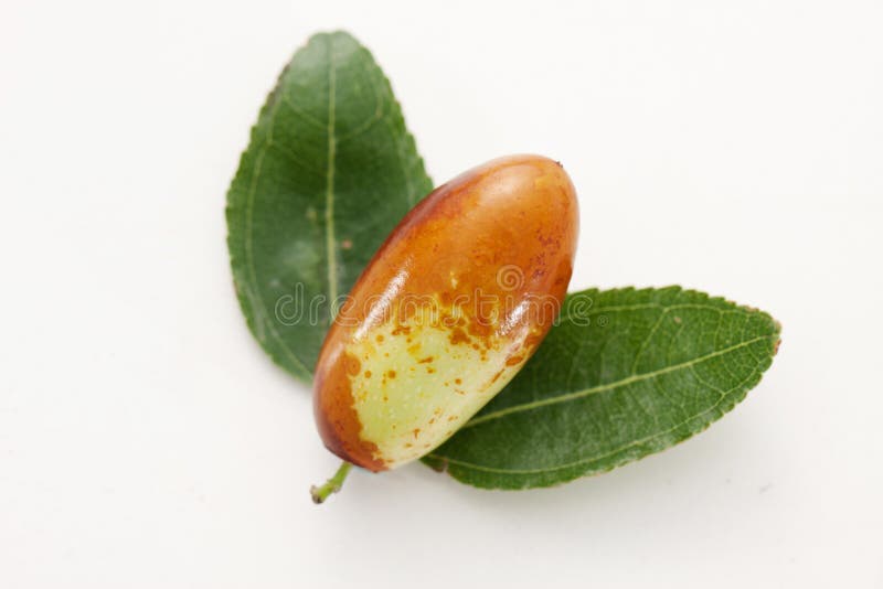 Azufaifa foto de archivo. Imagen de fecha, fondo, medicina - 26549288