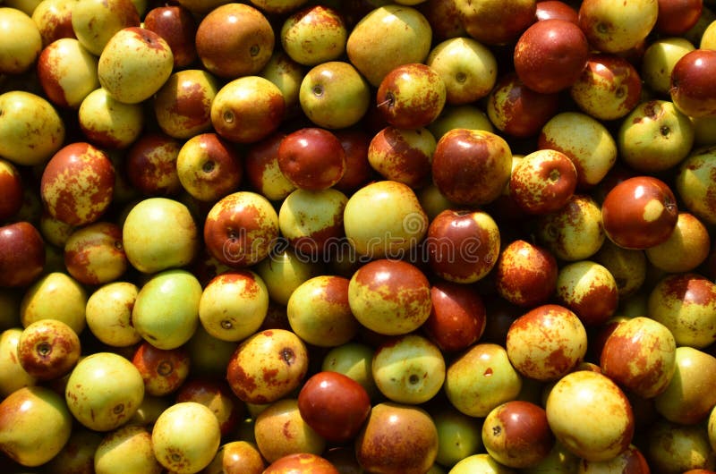 Azufaifa foto de archivo. Imagen de fondo, chino, comida - 45385712