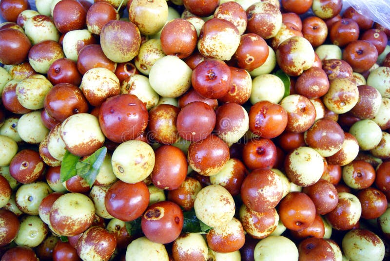 Azufaifa foto de archivo. Imagen de plantas, alimento - 48937084