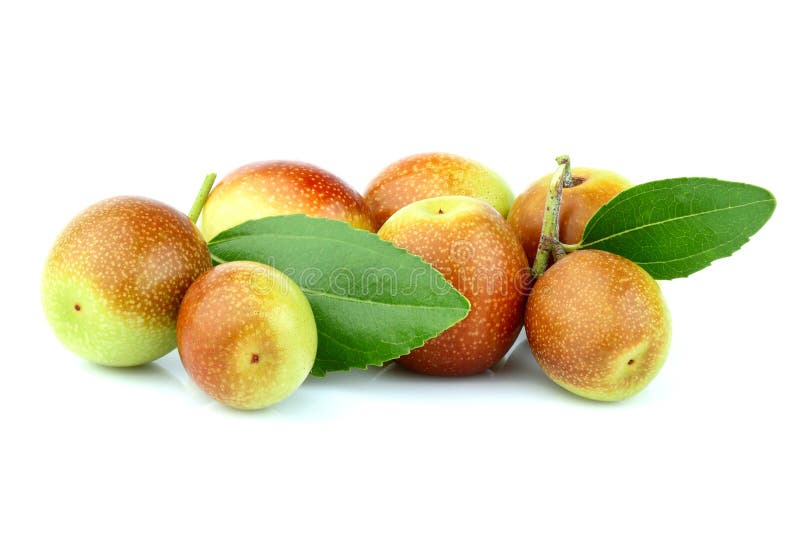 La Azufaifa Da Fruto Ziziphus Con Las Hojas Foto de archivo - Imagen de ...