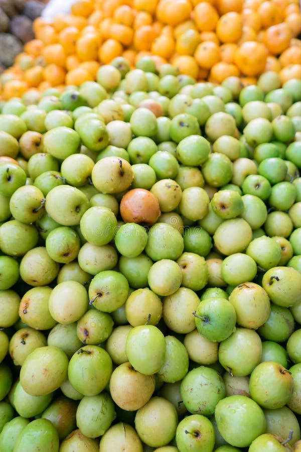 Frutas Tailandesas De Las Azufaifas Imagen de archivo - Imagen de ...