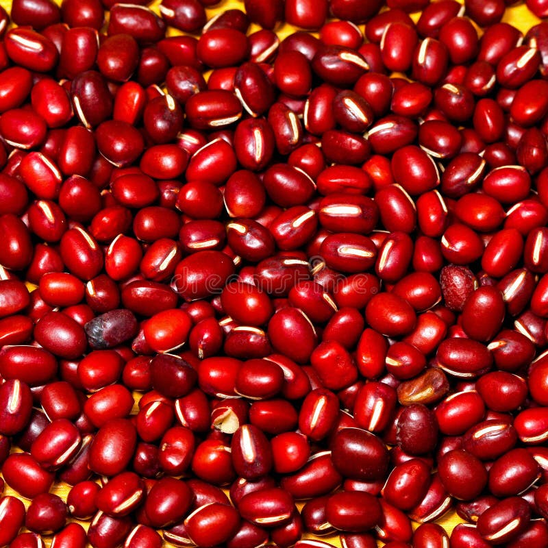Azuki beans stock image. Image of healthy, asian, vegetable - 15036625