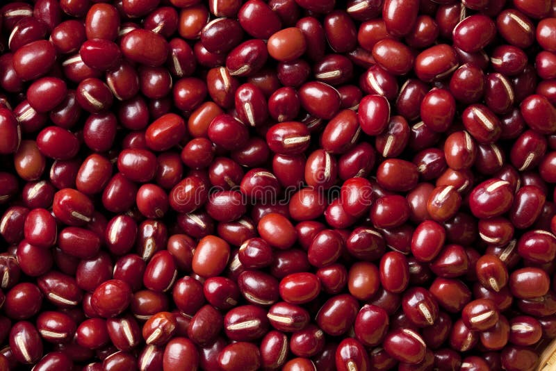 Azuki beans stock photo. Image of japan, paste, vegan - 21590366
