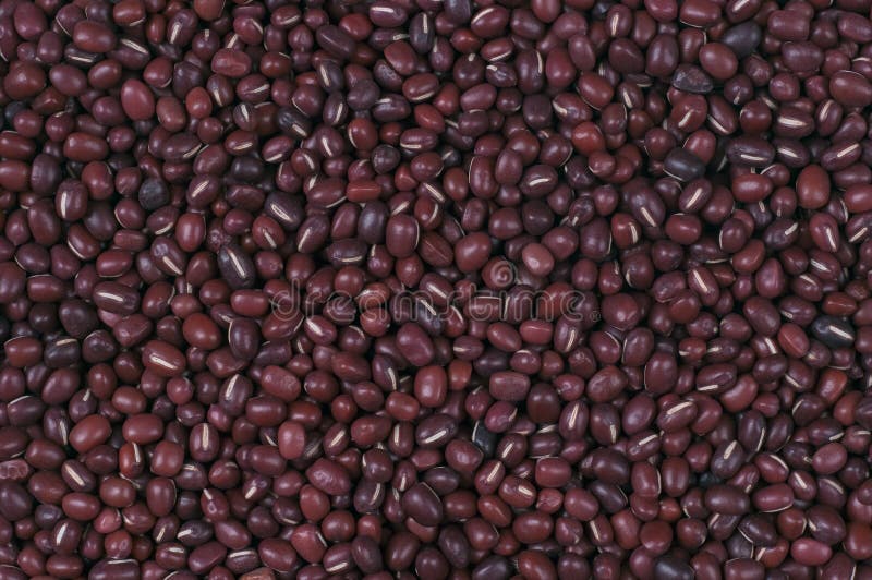 Azuki-beans stock image. Image of healthy, ingredient - 25830671