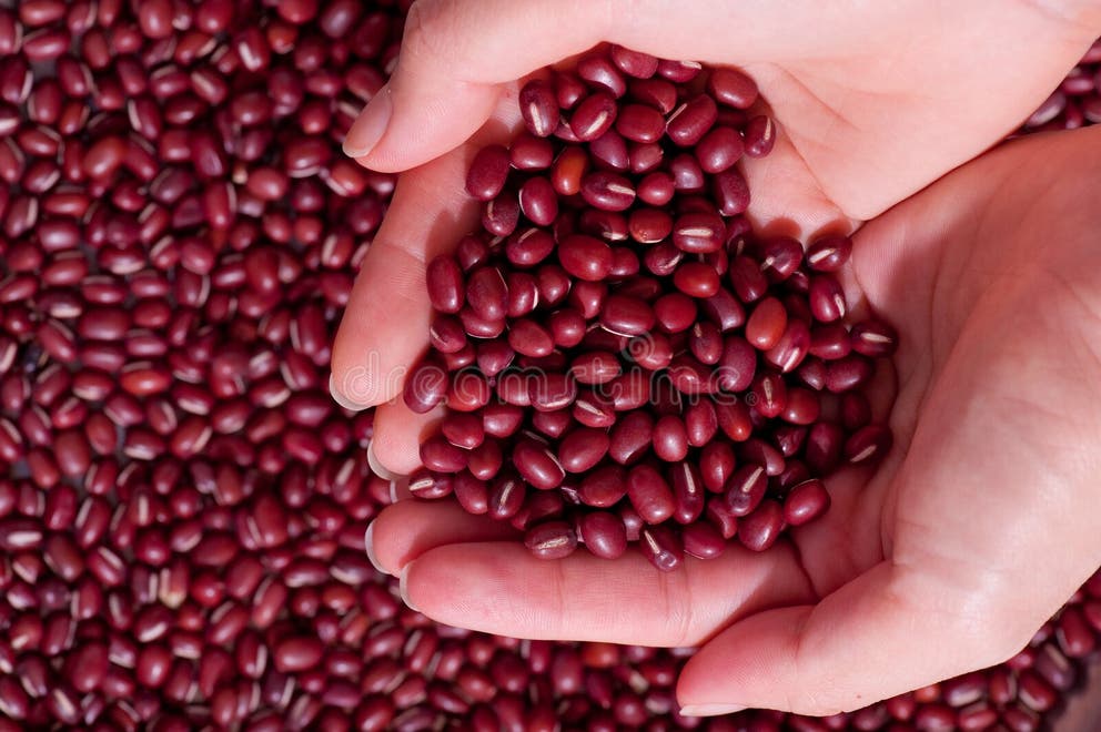Azuki beans 3 stock photo. Image of cooking, details - 10227114