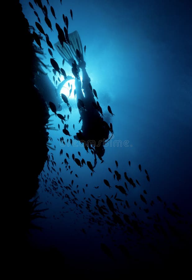 Azul profundo imagen de archivo. Imagen de vida, marejada - 134645