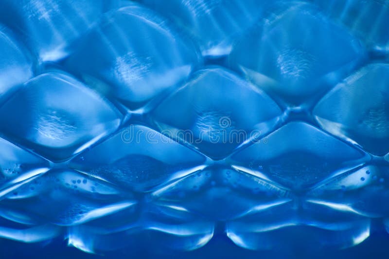 Azules claros foto de archivo. Imagen de modelo, foto - 31405452