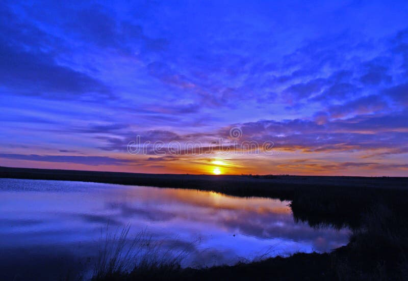 Azules De La Salida Del Sol Foto de archivo - Imagen de pantano ...