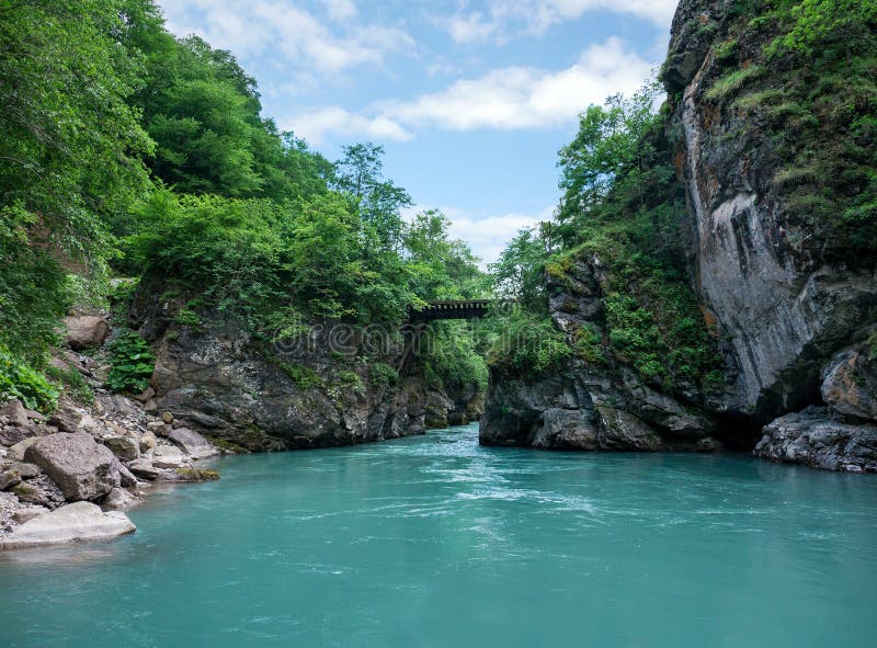 Mountain Backwater on a Stream among the Waves in Tropical Jungle on ...