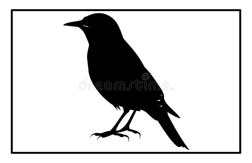 Azure Dollar Bird Silhouette, Azure Dollar Bird Hand Drawing Stock ...