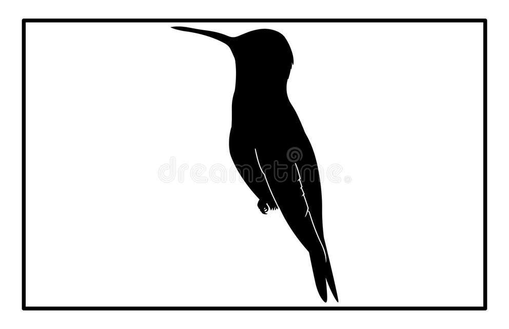 Azure Dollar Bird Silhouette, Azure Dollar Bird Hand Drawing Stock ...
