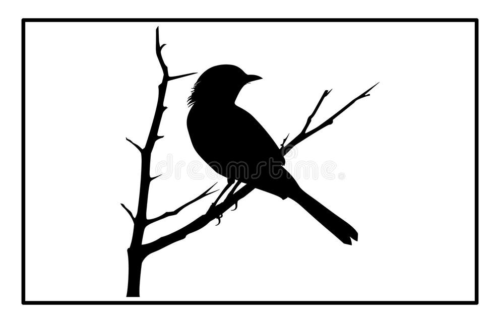 Azure Dollar Bird Silhouette, Azure Dollar Bird Hand Drawing Stock ...