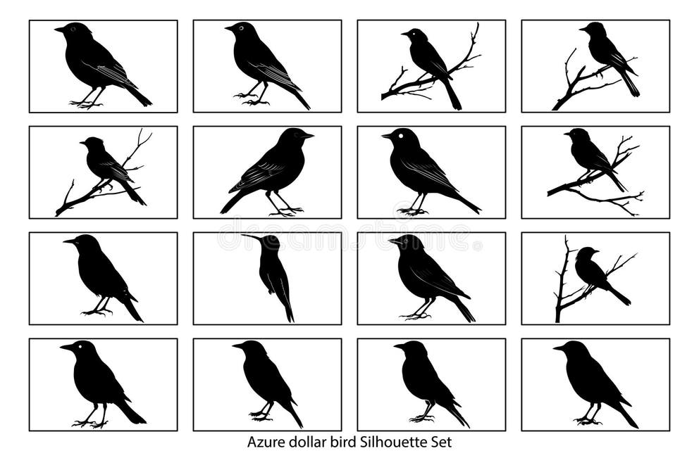 Azure Dollar Bird Silhouette, Azure Dollar Bird Hand Drawing Stock ...