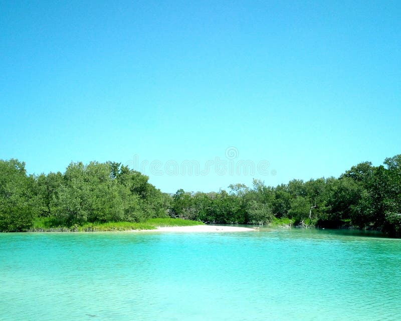 Azure Lake Surrounded by Green Trees on a Sunny Morning Stock Photo ...