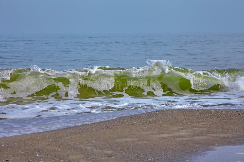 Azure wave on water edge stock photo. Image of beach - 140428160